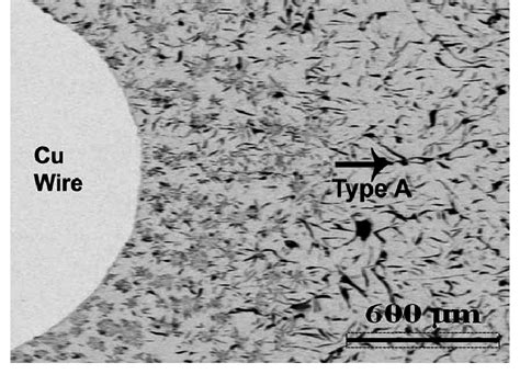 Sem Micrograph Of Sample No 9 Copper Insert Is Not Melted And Type B