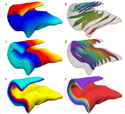 Mesh Parametrization By Solving Laplace Equations In The A Download Scientific Diagram