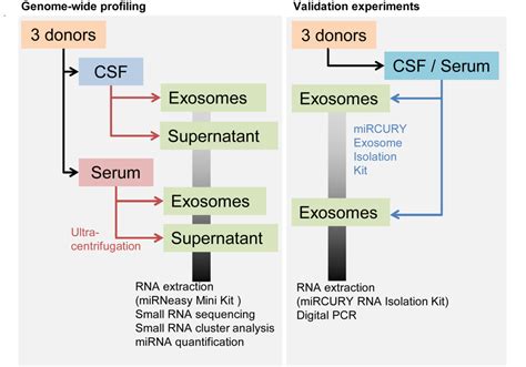 Next Generation Sequencing Based Small Rna Profiling Of Cerebrospinal Fluid Exosomes Exosome Rna