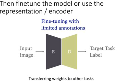 Lecture 13 Unsupervised Learning Flashcards Quizlet