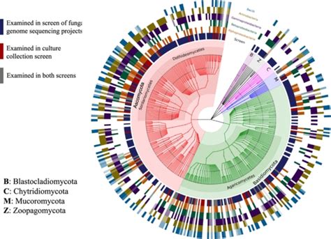 fungal genome sequencing services in bangalore intergene biosciences