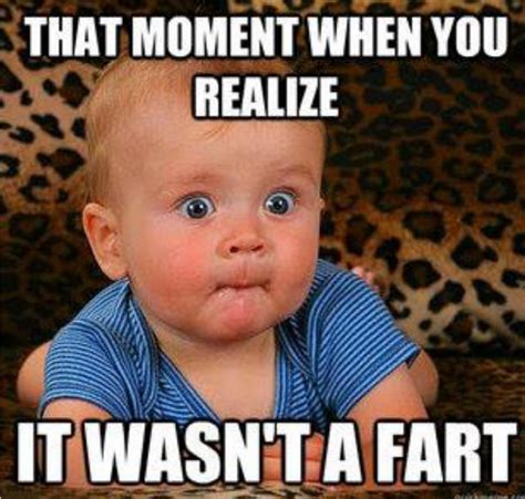 hilarious memes that will lighten up your mood fun