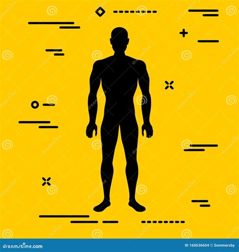 Characterizing Male Silhouettes For Different Stages Of Body Mass Index