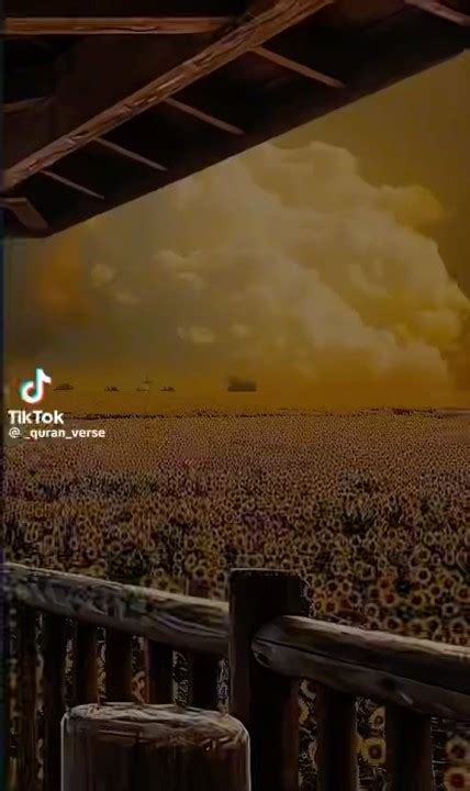 Qazi Muhammad Arslan Posted On Linkedin