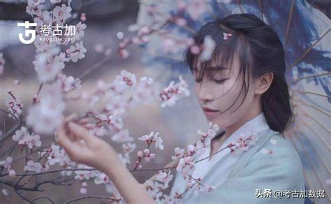 李子柒事件是怎么回事李子柒为什么被停播 思埠