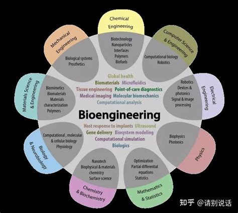 美国热门stem专业—生物工程专业全方位详解 知乎