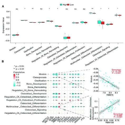 Relationship Between Bone Metabolism Related Gene Sets And M6a