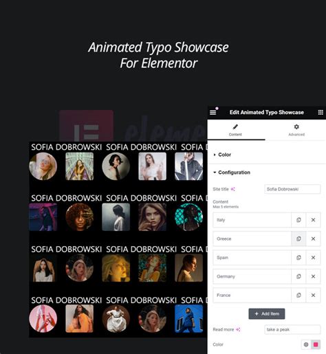 Animated Typo Showcase For Elementor PluginsPress