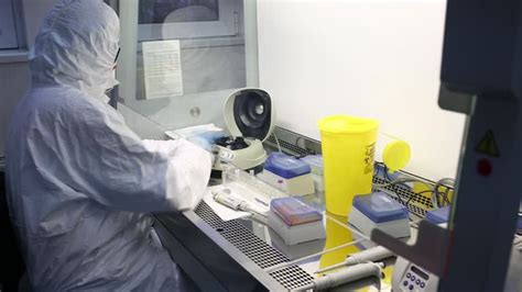 17 Biosafety Laboratory Stock Videos Footage And 4k Video Clips Getty