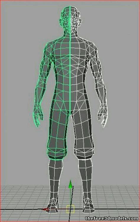 Human Anatomy Uv Coordinates Setup For Texturing Artofit