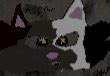 Warrior cats RP Forums PokéFarm Q