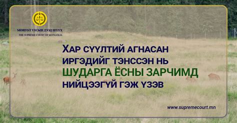 МОНГОЛ УЛСЫН ДЭЭД ШҮҮХ