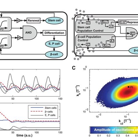 System 1 A Circuit Diagram Two Population Control Modules In Gray Download Scientific