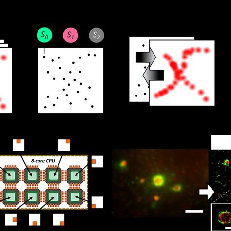 Bayesian Analysis Of Blinking And Bleaching 3b Microscopy A The