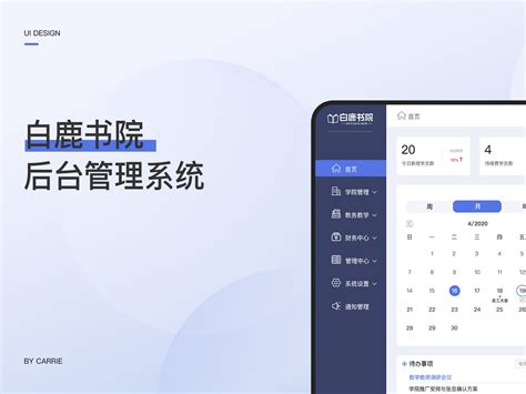 B端项目 后台管理系统大梨儿呢 站酷zcool