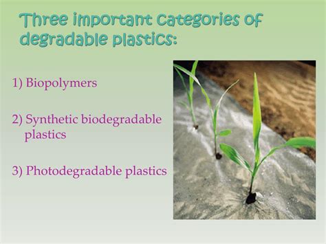 Ppt Vulcanisation Of Polymers And Biodegradable Plastics Powerpoint Presentation Id2774080