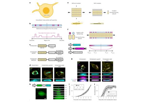 Self Assembling Proteins Can Store Cellular Memories” Astrobiology