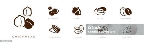 씨앗과 견과류 갈색 플랫 아이콘 와 이름 및 비문 벡터 세트 견과에 대한 스톡 벡터 아트 및 기타 이미지 견과 새긴 이미지