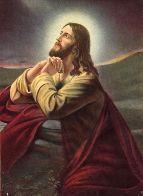 🔥 Free Download Jesus Christ Praying Wallpaper By Franciscorodriguez