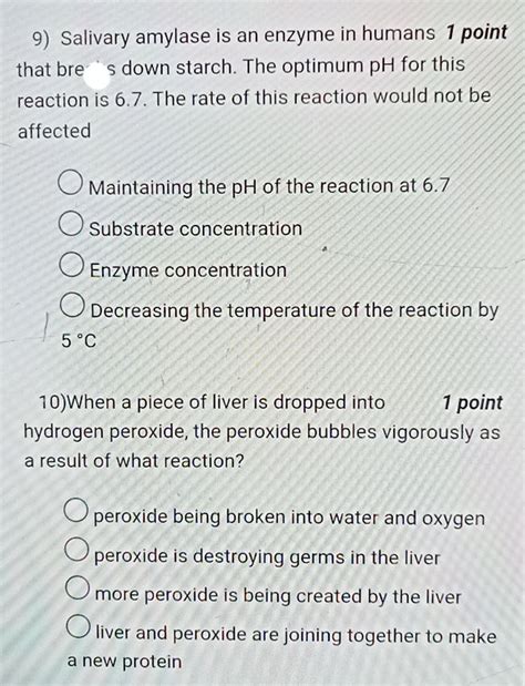 9 Salivary Amylase Is An Enzyme In Humans Studyx