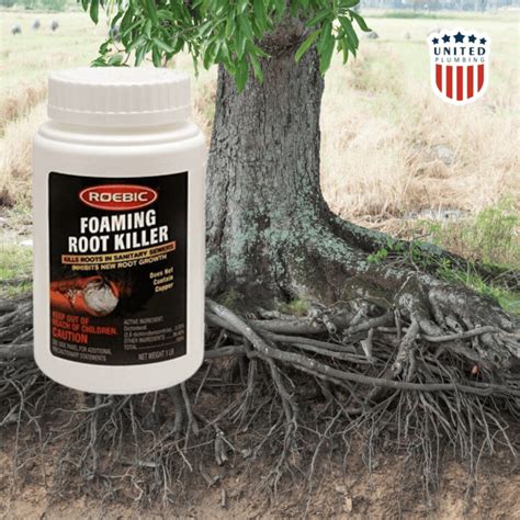 Five Ways To Remove Tree Roots In Sewer Line