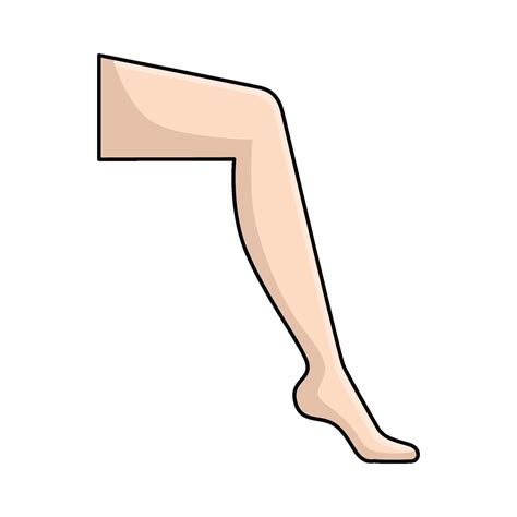 Illustration Of Human Leg 62856655 Vector Art At Vecteezy