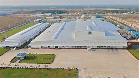C P Việt Nam bắt đầu xuất khẩu thịt gà sang Nhật Bản