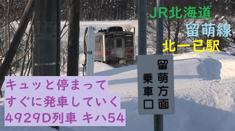 D Jr Youtube