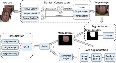 The Framework For Tongue Color Recognition Encompasses Four Key Stages Download Scientific