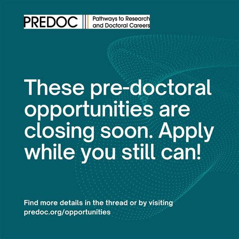 On Twitter 💃 Apply While You Still Can 💃 Find More Details In The Thread Or By