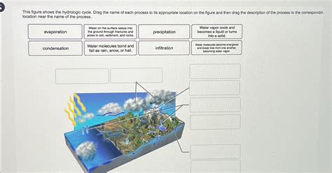 Solved This Figure Shows The Hydrologic Cycle Drag The
