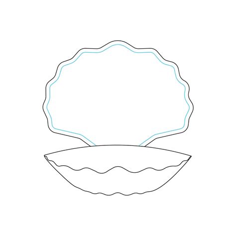 How To Draw A Seashell Step By Step