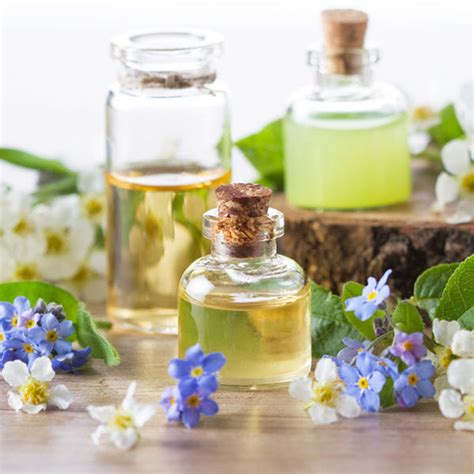 Elastomers And Porous Sex Toys Guide Toxic Or Not