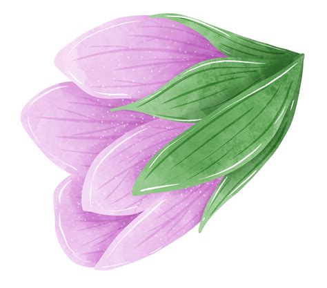 Acuarela Mano Dibujado Ilustración Violeta Púrpura Flor Para Boda Invitación Nupcial Ducha