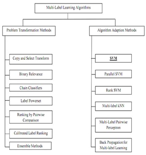 Categorization Of Representative Mutli Label Learning Algorithm Download Scientific Diagram