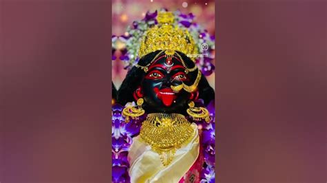 হ্যাপি নিউ ইয়ার সকল বন্ধুদেরকে ♥️ Youtube