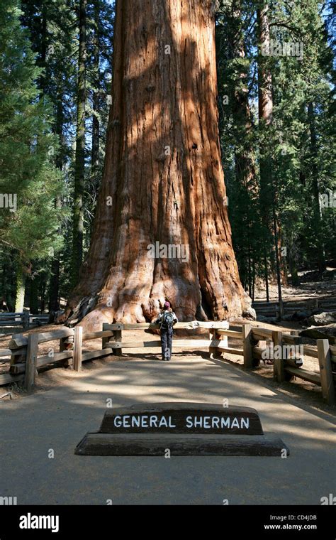 Oct 11 2008 Sequoia National Park California United States