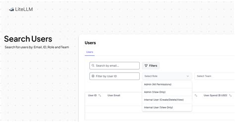 Release Notes Litellm