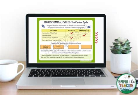 Ways To Organize Your Science Classroom Emma The Teachie