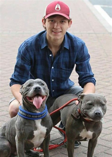 Tomholland Happy20thtomholland Happybdaytomhollandfrombrazil