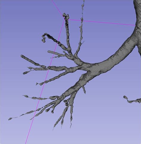 Create Mesh From Binary Image Support 3d Slicer Community