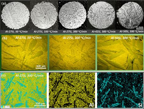 Optical Image Of The A Macrostructure B Microstructure And C Download Scientific