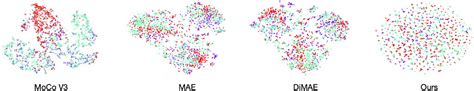 adir advanced domain‐invariant representation via decoupling learning