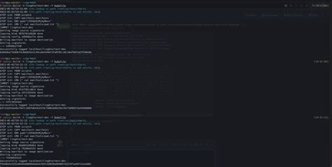 Bug When Using Sealos To Build A Cluster Image Some String With