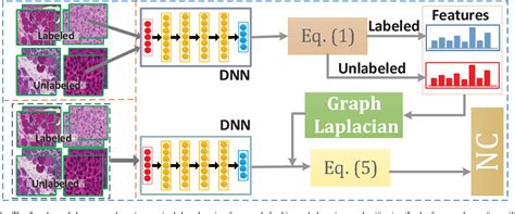 Figure 1 From Semi Supervised Deep Linear Discriminant Analysis For Histopathology Image