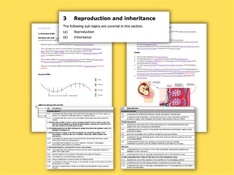 Reproduction And Inheritance I Gcse Biology Detailed Notes Teaching Resources