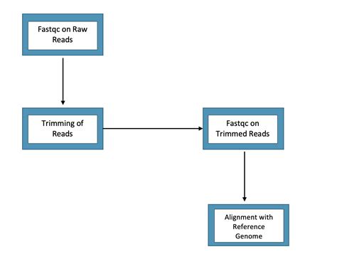 Center For Computation And Visualization Ccv