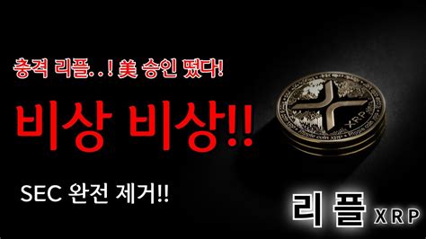 🔴 리플 Xrp 🔴 비상 사태 Sec 완 전 제 거 Youtube