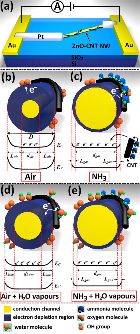 A Schematic Illustration Of The Nanosensor Structures Based On