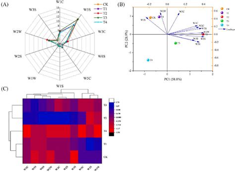 Radar Fingerprint Chart A Principal Component Analysis B And Download Scientific Diagram